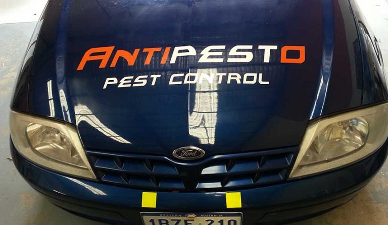 Vinyl lettering for vehicles – what’s the best? | Perth Graphics Centre